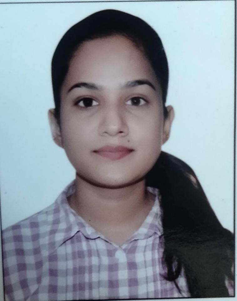 Seemax International School